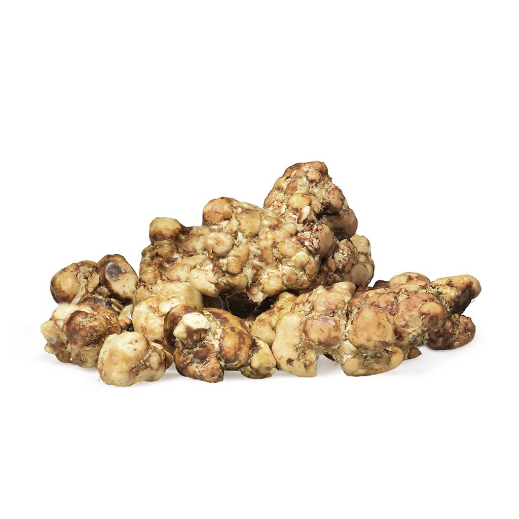 Psilocybe Atlantis - Magic Truffles