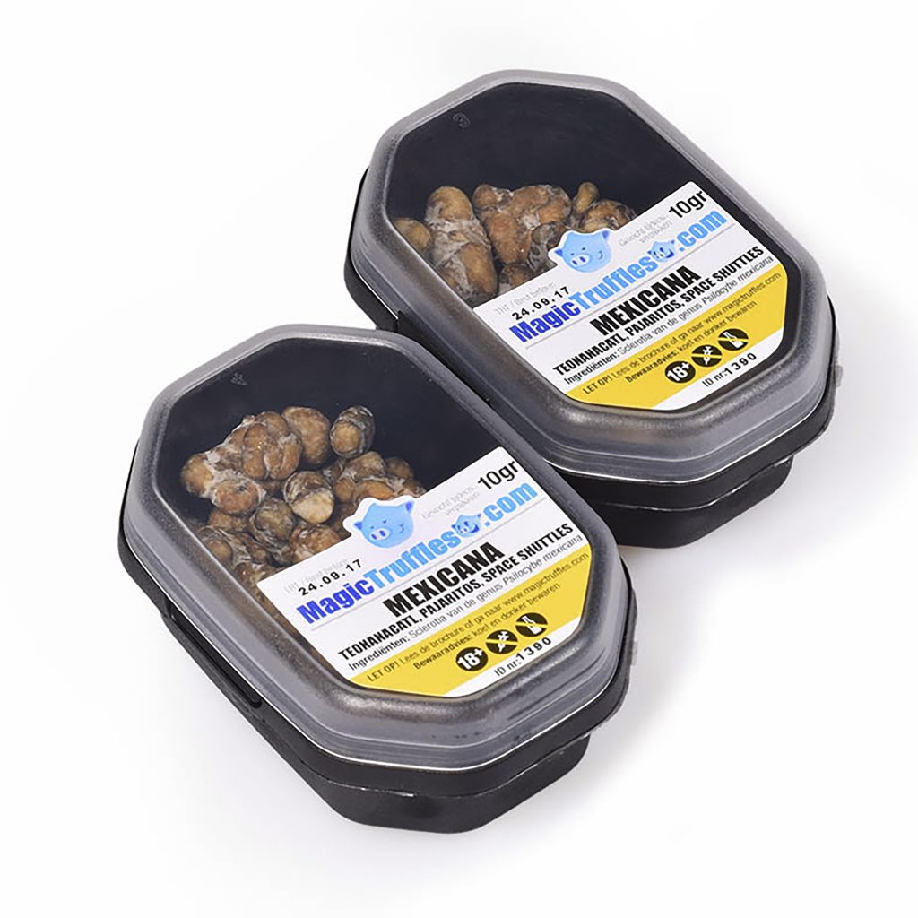 15 gram - Mexicana - Magic Truffles - Magic Truffles