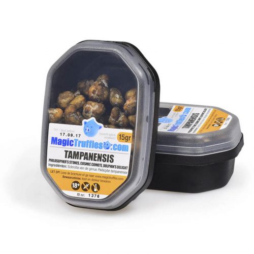 15 gram - Tampanensis - Magic Truffles - Magic Truffles